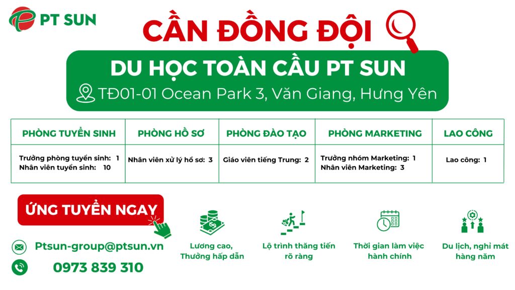 CƠ HỘI NGHỀ NGHIỆP TẠI PT SUN – MÔI TRƯỜNG LÀM VIỆC NĂNG ĐỘNG VÀ CHUYÊN ...